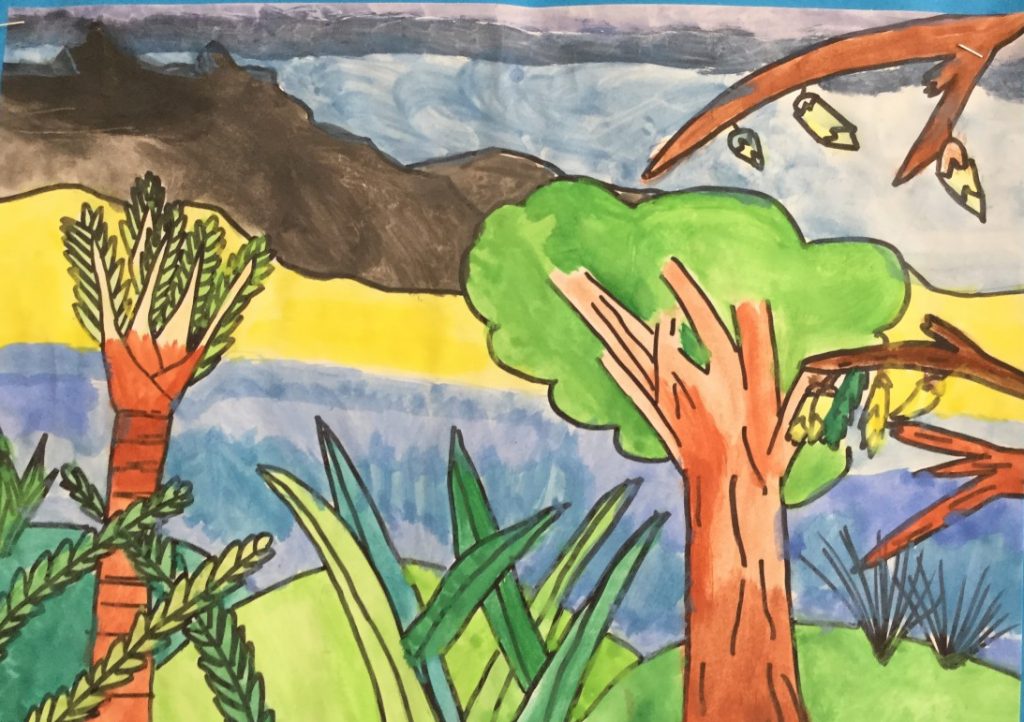 Native Trees – Poroti School