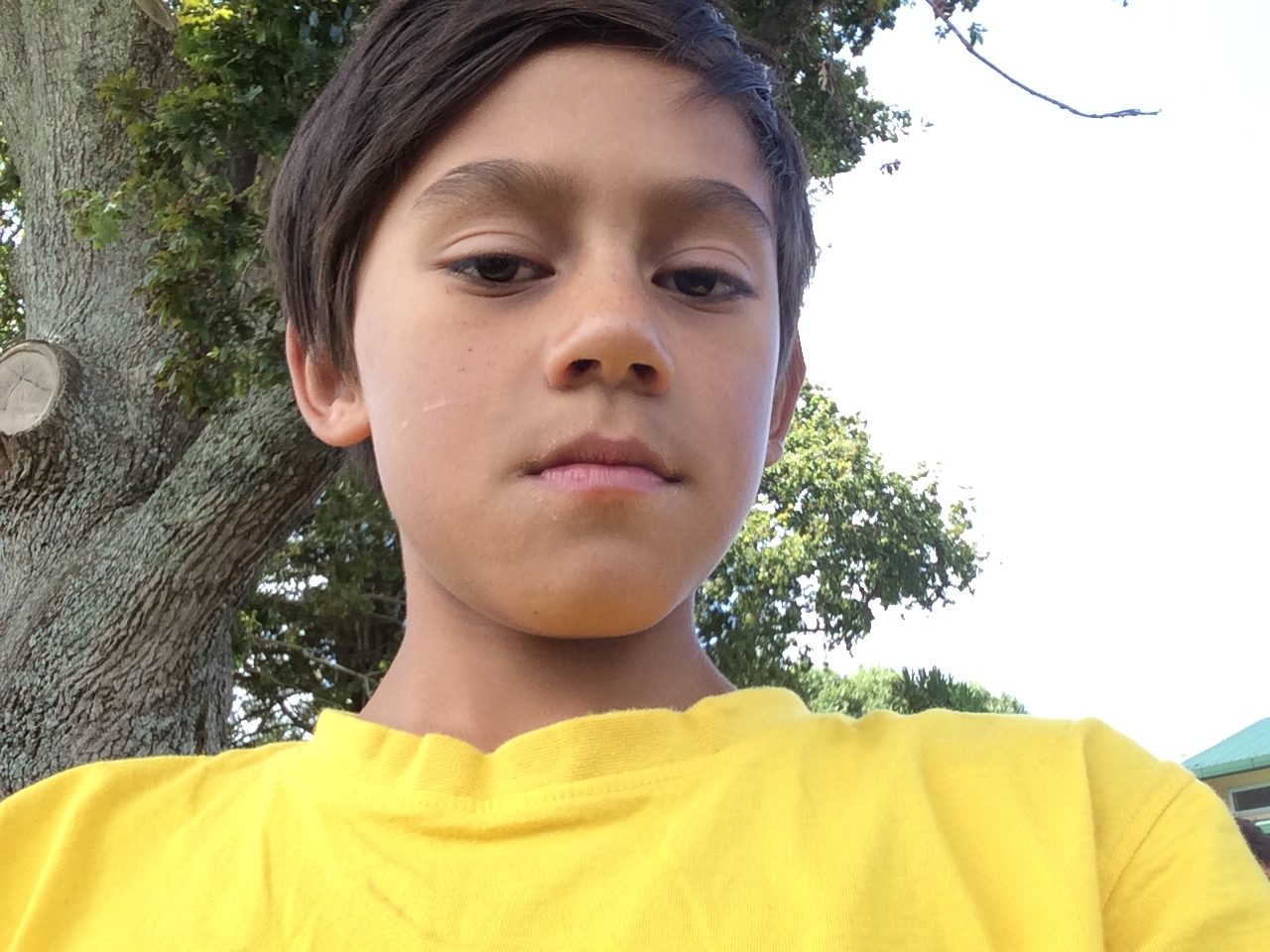 Whanau Groups – Poroti School